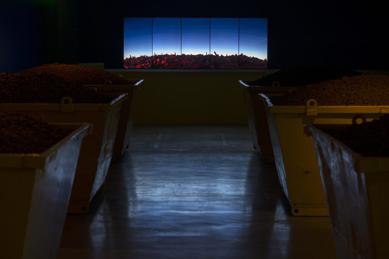 EMBEDDED - Craig Walsh